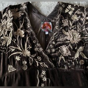 Johnny Was | Tops | Johnny Was Velvet Embroidered Tunic | Poshmark